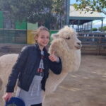 From Salou: animal farm park with hotel pickup - What Makes the Visit Special