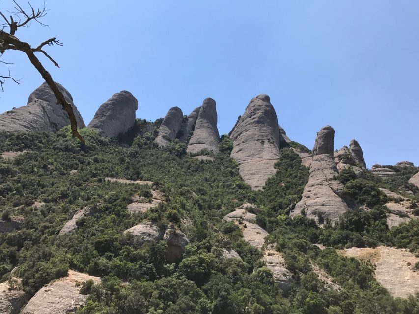 From Salou: Montserrat Monastery and Colonia Güell - Exploring Colonia Güell: Gaudí’s Hidden Masterpiece