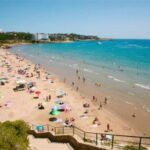 From Salou: Scaladei Charterhouse, lunch and wines - What Makes This Tour Stand Out for Travelers