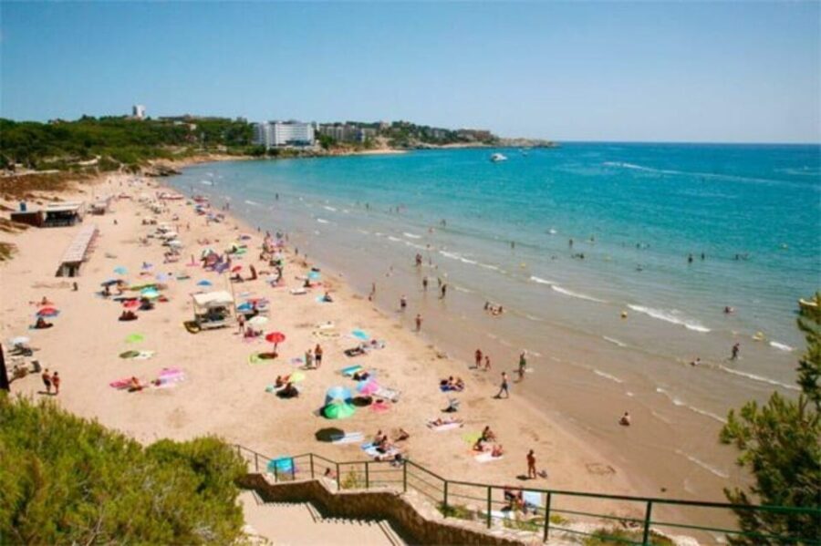 From Salou: Scaladei Charterhouse, lunch and wines - What Makes This Tour Stand Out for Travelers