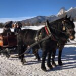 From Salzburg: 8-hour Horse-Drawn Tour w/ 2-hour Sleigh Ride - Overview: What this tour offers