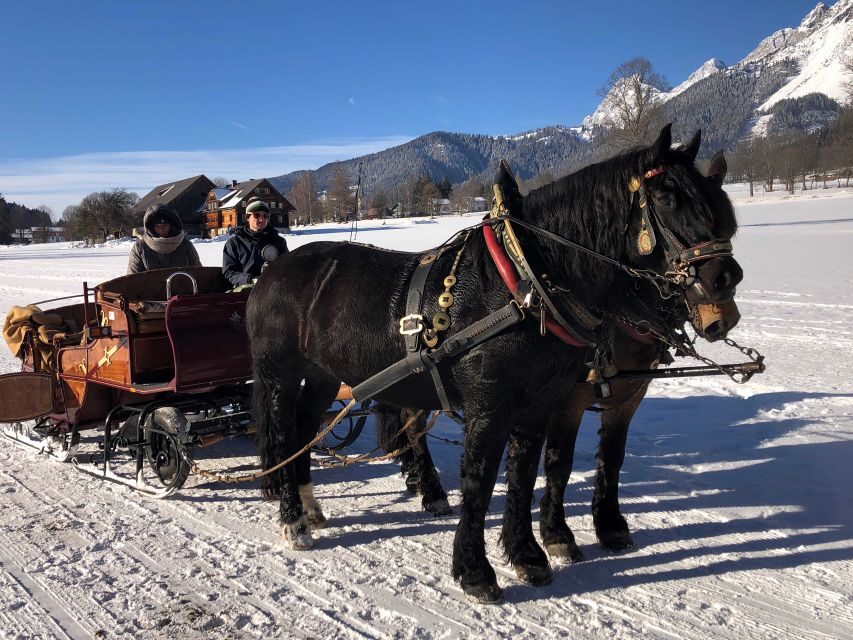 From Salzburg: 8-hour Horse-Drawn Tour w/ 2-hour Sleigh Ride - Overview: What this tour offers