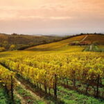 From San Gimignano: Brunello Wine Tour - Visiting Montalcino: Why It Matters