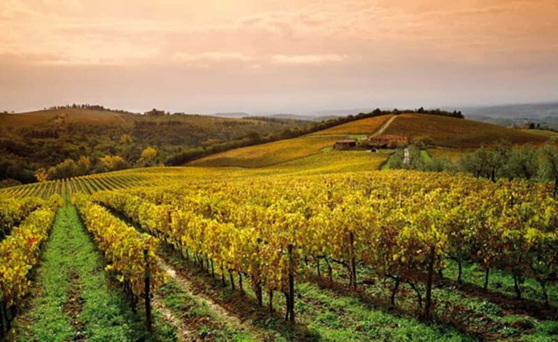 From San Gimignano: Brunello Wine Tour - Visiting Montalcino: Why It Matters