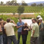 From San Sebastian/Bilbao/Vitoria: Rioja Wine Tour w/ Lunch - Pricing & Value