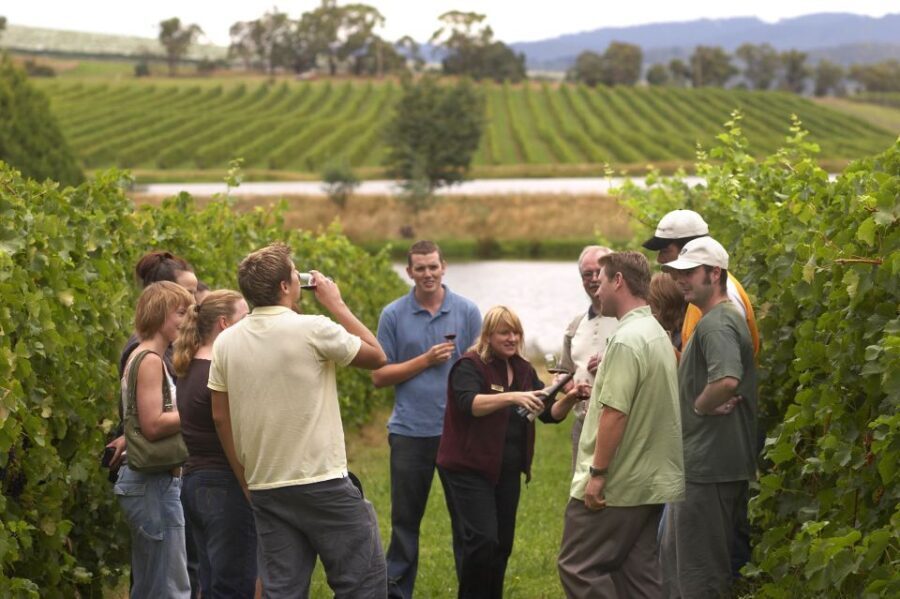 From San Sebastian/Bilbao/Vitoria: Rioja Wine Tour w/ Lunch - Pricing & Value