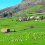 From San Sebastian: French-Basque Countryside Private Tour - An In-Depth Look at the Itinerary