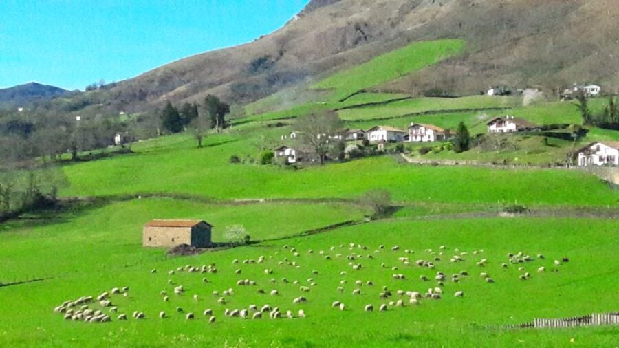 From San Sebastian: French-Basque Countryside Private Tour - An In-Depth Look at the Itinerary