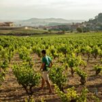 From San Sebastián: La Rioja Wine Region Day Tour - Practical Tips for Travelers