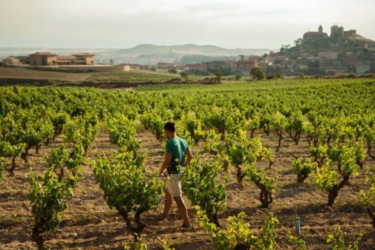 From San Sebastián: La Rioja Wine Region Day Tour - Practical Tips for Travelers