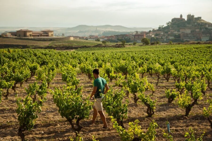 From San Sebastián: La Rioja Wine Region Day Tour - Practical Tips for Travelers