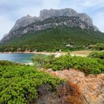 From San Teodoro: Tavolara Archipelago Mini Tour - The Experience and Its Value