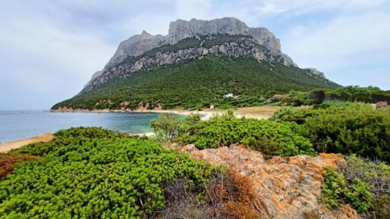 From San Teodoro: Tavolara Archipelago Mini Tour - The Experience and Its Value