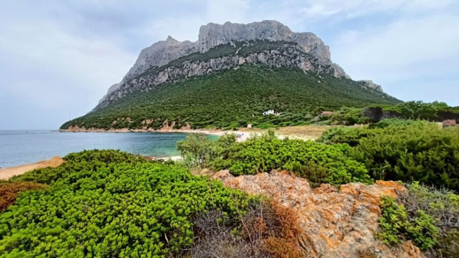 From San Teodoro: Tavolara Archipelago Mini Tour - The Experience and Its Value