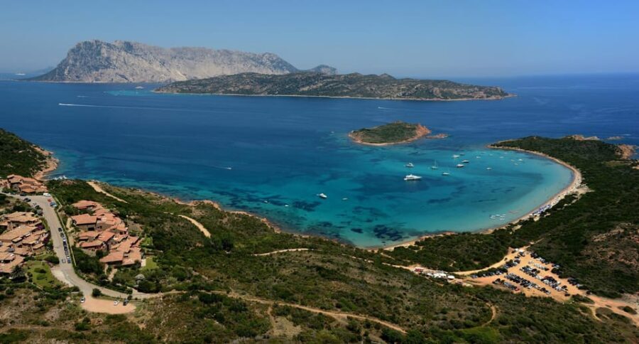 From San Teodoro: The Heart of the Tavolara Archipelago - Why This Tour Offers Genuine Value