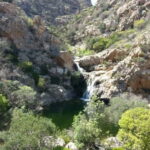 From San Teodoro: trekking to Rio Pitrisconi - Who Will Love This Tour?