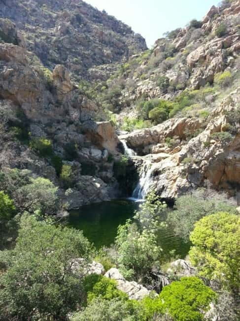 From San Teodoro: trekking to Rio Pitrisconi - Who Will Love This Tour?