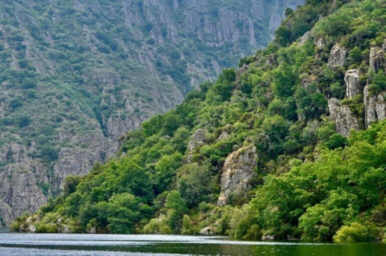 From Santiago: Excursion to Ribeira Sacra and Ourense - Transportation, Duration, and Pricing
