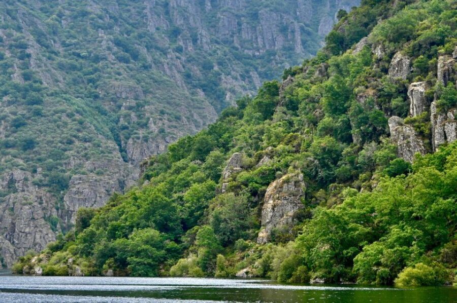From Santiago: Excursion to Ribeira Sacra and Ourense - Transportation, Duration, and Pricing