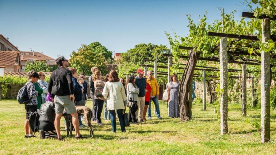 From Santiago: Tour to Rias Baixas with Boat Trip and Winery - A Well-Balanced Day