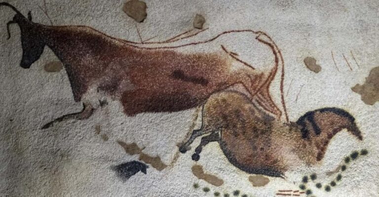 From Sarlat: Half-Day Skip-the-Line Lascaux IV Tour - Why This Tour Offers Strong Value