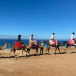 From Seville: 2, 3, or 4-Day Morocco Trip with Ferry & Guide - 2-Day Option: A Short but Sweet Moroccan Taste