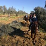 From Seville: Andalusian Horseback Ride - Who Will Love This Experience?