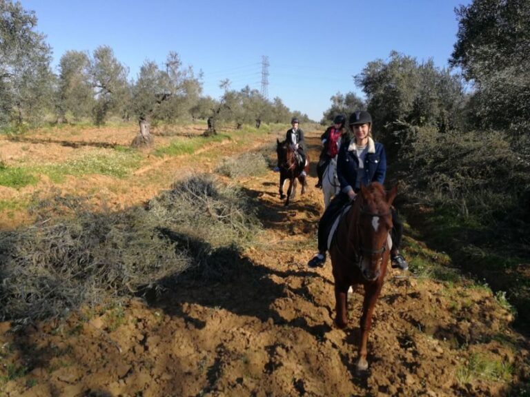 From Seville: Andalusian Horseback Ride - Who Will Love This Experience?