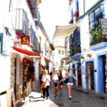 From Seville: Cordoba and its Mosque Guided Day Trip - The Comfort of a Guided Day Trip from Seville