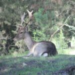 From Seville: Doñana National Park Full-Day Private Tour - Is It Worth the Price?
