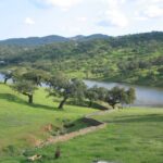 From Seville: Full-Day Aracena & Rio Tinto Mines Tour - Transportation and Logistics
