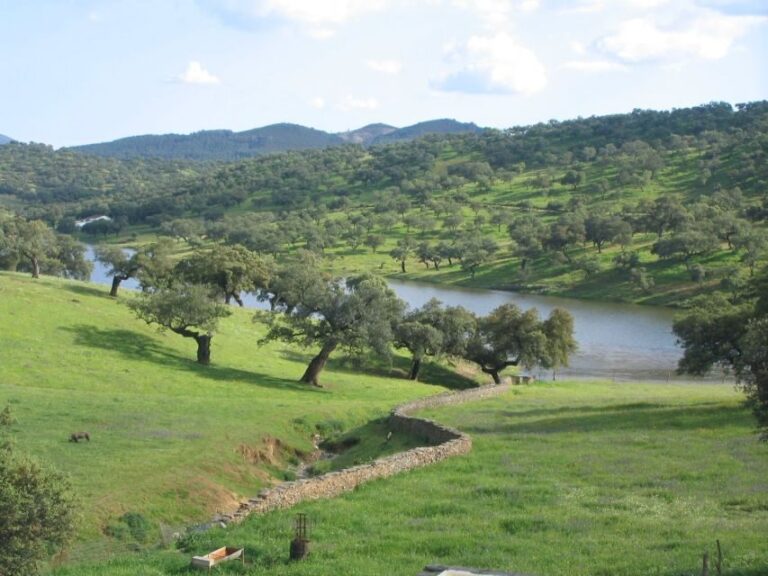 From Seville: Full-Day Aracena & Rio Tinto Mines Tour - Transportation and Logistics