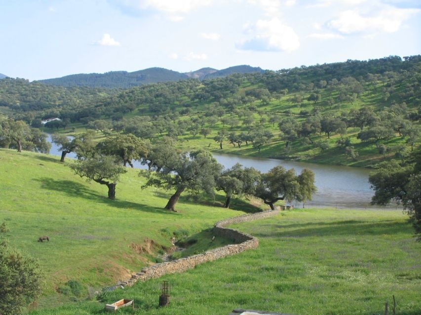 From Seville: Full-Day Aracena & Rio Tinto Mines Tour - Transportation and Logistics