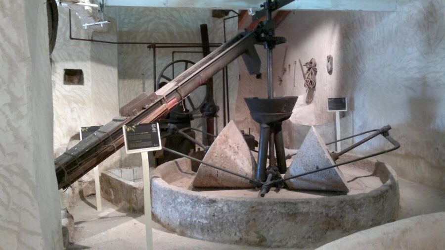 From Seville: Olive Oil Farm Tour - Exploring the Olive Oil Farm Tour: An Authentic Slice of Andalusian Agriculture