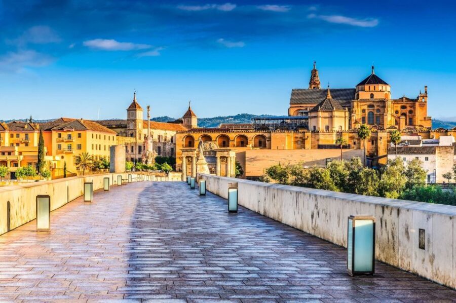 From Seville: Private or Group Full-Day Cordoba Tour - Who Should Consider This Tour?