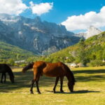 From Shkoder: 2-Day Trip to Theth with Accommodation - Authenticity & Traveler Feedback