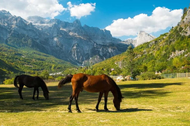 From Shkoder: 2-Day Trip to Theth with Accommodation - Authenticity & Traveler Feedback