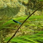 From Sibenik: Private Sibenik and Krka Waterfalls tour - Who Is This Tour Best For?