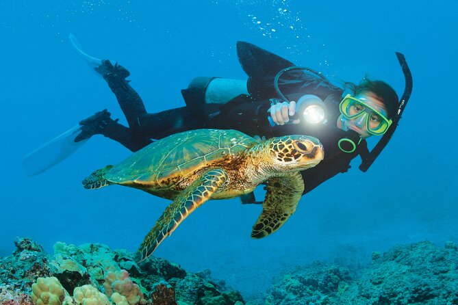 From Side, Alanya: Scuba Diving With 2 Time Dive & Lunch - Key Points