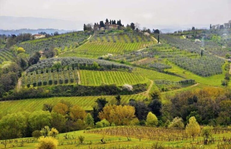 From Siena: Chianti and Castle Tour - Final thoughts: Is this tour for you?