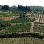 From Siena: Chianti and Castles Tour with Wine Tastings - How Does This Tour Deliver Value?