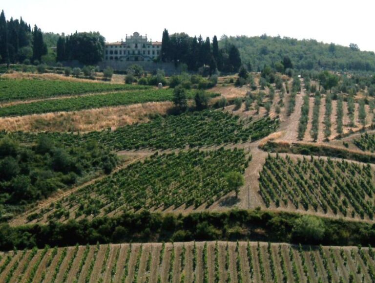 From Siena: Chianti and Castles Tour with Wine Tastings - How Does This Tour Deliver Value?