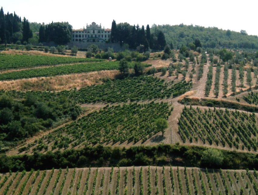 From Siena: Chianti and Castles Tour with Wine Tastings - How Does This Tour Deliver Value?