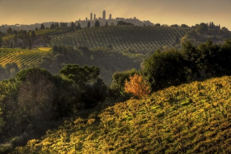From Siena: Chianti and San Gimignano Sunset Tour - The Scenic Route Through Chianti