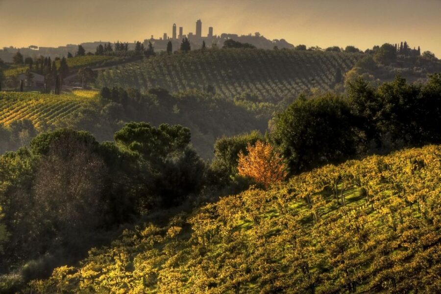 From Siena: Chianti and San Gimignano Sunset Tour - The Scenic Route Through Chianti