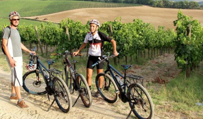 From Siena: Chianti Countryside E-Bike Tour w/ Lunch & Wine - Practical Details and Value