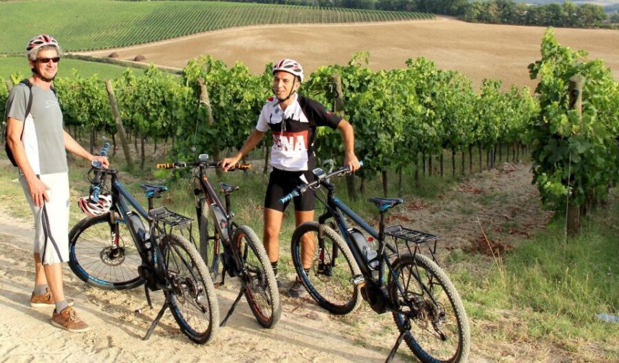 From Siena: Chianti Countryside E-Bike Tour w/ Lunch & Wine - Practical Details and Value