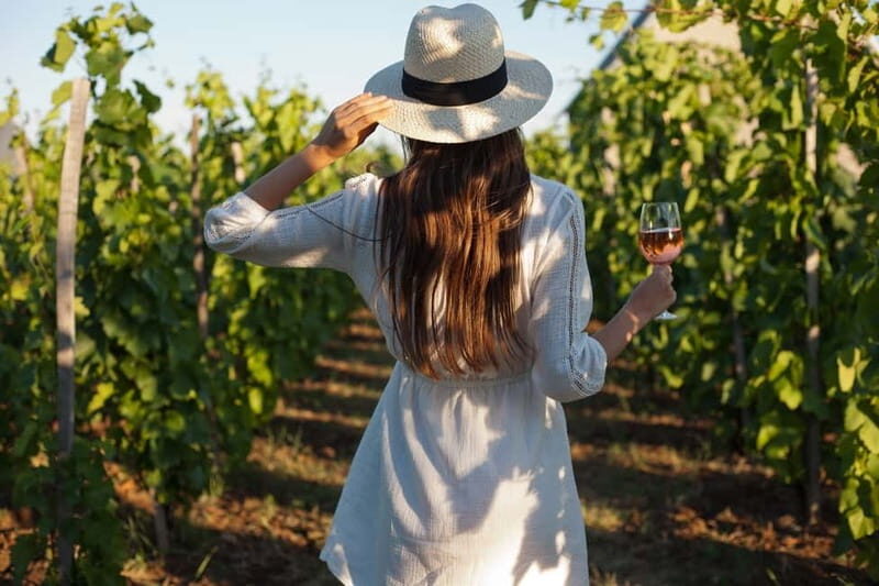 From Siena/Chianti: Dinner & Drinks in the Chianti Vineyards - What Makes This Tour Stand Out