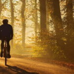 From Siena: Chianti Electric Bike Tour - Value and Practical Considerations