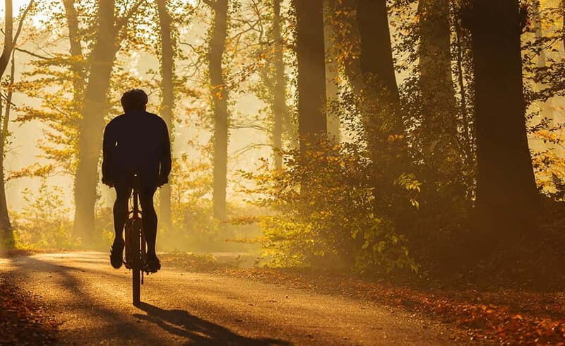 From Siena: Chianti Electric Bike Tour - Value and Practical Considerations